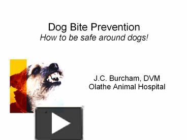 PPT – Dog Bite Prevention How to be safe around dogs! PowerPoint presentation | free to view ...