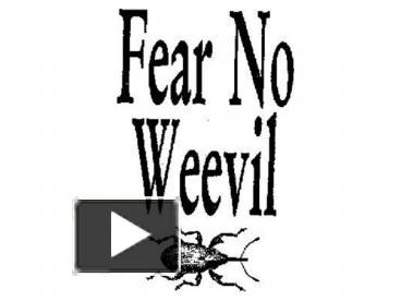 PPT – SS8H8a Describe the impact of the boll weevil and drought on ...