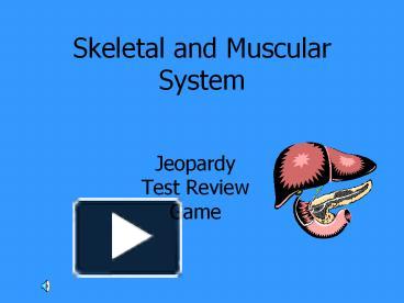 Skeletal and Muscular System presentation | free to view