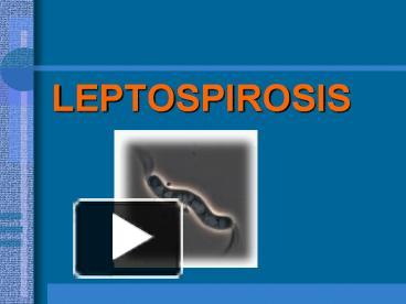LEPTOSPIROSIS presentation | free to download
