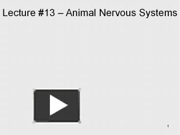Lecture 13 – Animal Nervous Systems presentation | free to download