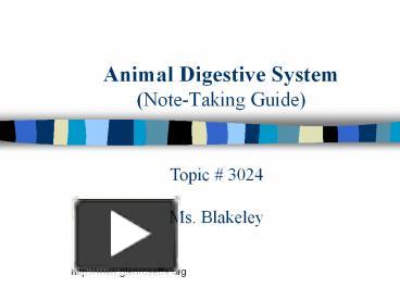 PPT – Animal Digestive System (Note-Taking Guide) PowerPoint ...
