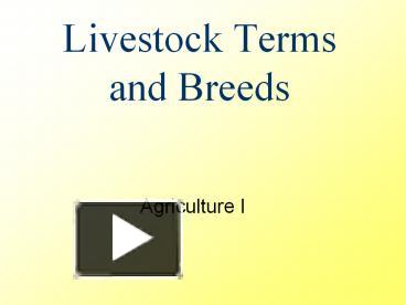 Livestock Terms and Breeds presentation | free to view