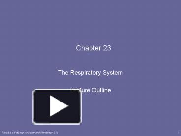Chapter 23 The Respiratory System Lecture Outline presentation | free ...