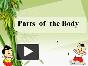 PPT – Parts of the Body PowerPoint presentation | free to view - id ...