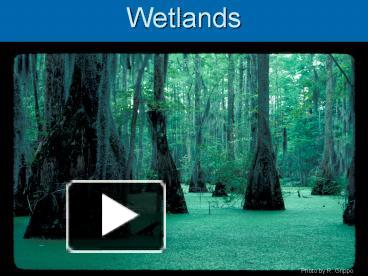 Wetlands presentation | free to view