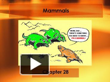 PPT – Mammals PowerPoint presentation | free to view - id: 3c3805-MWY4Z