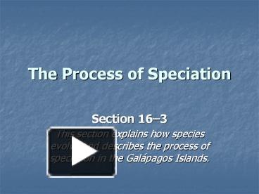 The Process of Speciation presentation | free to download