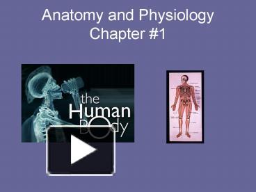 Anatomy and Physiology Chapter 1 presentation | free to view