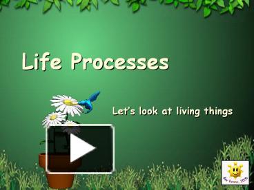 Life Processes presentation | free to download
