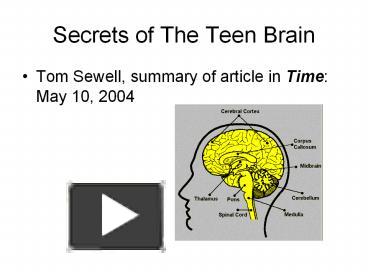PPT – Secrets of The Teen Brain PowerPoint presentation | free to view ...