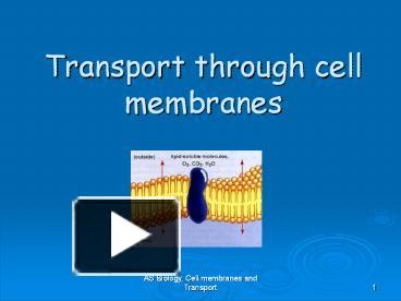 PPT – Transport through cell membranes PowerPoint presentation | free ...