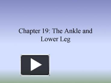 PPT – Chapter 19: The Ankle and Lower Leg PowerPoint presentation ...