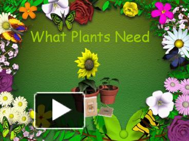 What Plants Need presentation | free to download