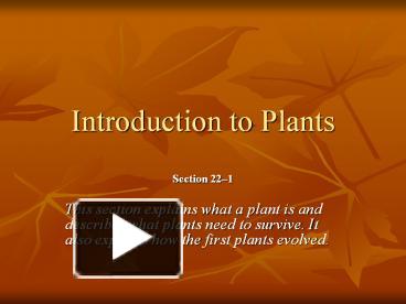 Introduction to Plants presentation | free to download