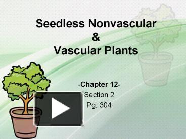 PPT – Seedless Nonvascular & Vascular Plants PowerPoint presentation ...