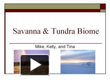 PPT – Savanna & Tundra Biome PowerPoint presentation | free to view ...