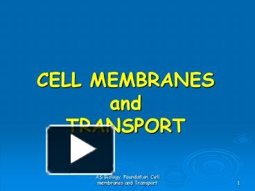 PPT – CELL MEMBRANES and TRANSPORT PowerPoint presentation | free to ...