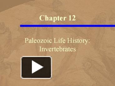 PPT – Paleozoic Life History: Invertebrates PowerPoint presentation ...