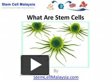 Stem Cells presentation | free to download