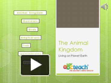 PPT – The Animal Kingdom PowerPoint presentation | free to view - id ...