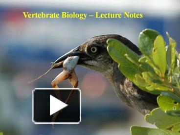 Vertebrate Biology – Lecture Notes presentation | free to view