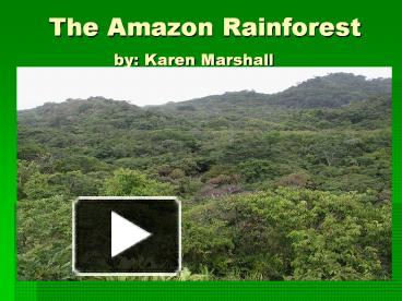 PPT – The Amazon Rainforest by: Karen Marshall PowerPoint presentation ...