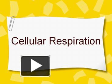 Cellular Respiration presentation | free to download