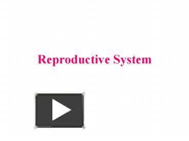 PPT – Reproductive System PowerPoint presentation | free to view - id ...