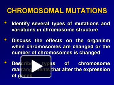 PPT – CHROMOSOMAL MUTATIONS Identify several types of mutations ...