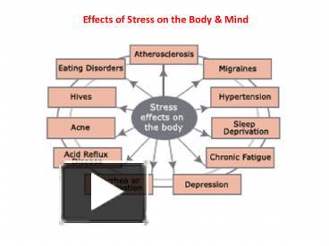 PPT – Effects of Stress on the Body & Mind PowerPoint presentation ...
