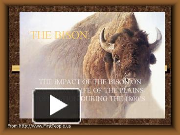 PPT – THE BISON: PowerPoint presentation | free to view - id: 3d53f-YWY3O