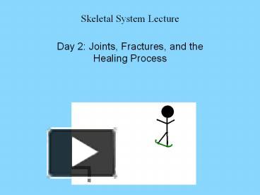 PPT – Skeletal System Lecture PowerPoint presentation | free to view ...