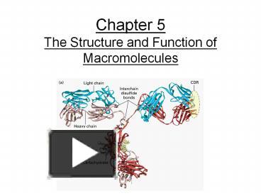Chapter 5 The Structure and Function of Macromolecules presentation | free to view