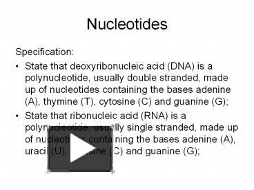Nucleotides presentation | free to download
