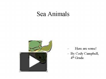 Sea Animals presentation | free to view
