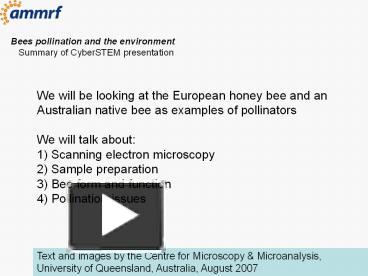 PPT – Bees pollination and the environment PowerPoint presentation ...