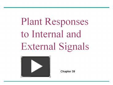PPT – Plant Responses to Internal and External Signals PowerPoint ...