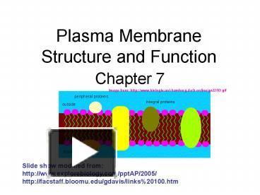 Plasma Membrane Structure and Function Chapter 7 Image presentation ...