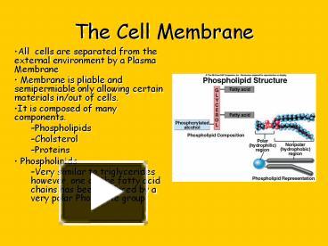 The Cell Membrane presentation | free to view