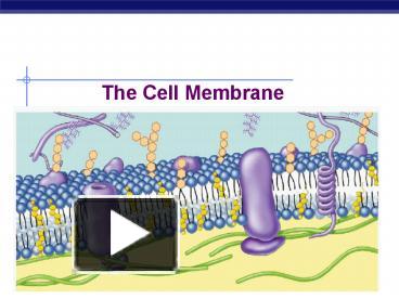 PPT – The Cell Membrane PowerPoint presentation | free to download - id ...