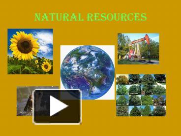PPT – Natural Resources PowerPoint presentation | free to view - id ...