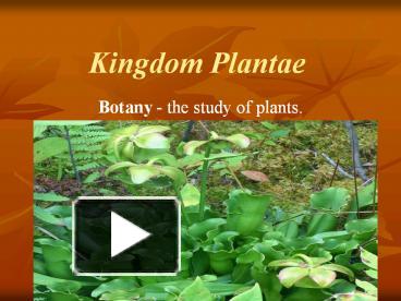 Kingdom Plantae presentation | free to view