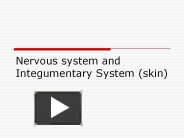 PPT – Nervous system and Integumentary System (skin) PowerPoint ...