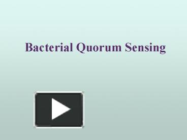 Bacterial Quorum Sensing presentation | free to view