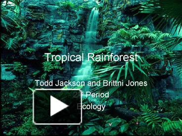 PPT – Tropical Rainforest PowerPoint presentation | free to view - id ...