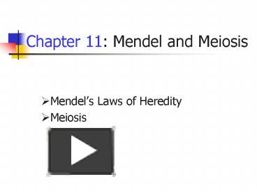 PPT – Chapter 11: Mendel and Meiosis PowerPoint presentation | free to ...