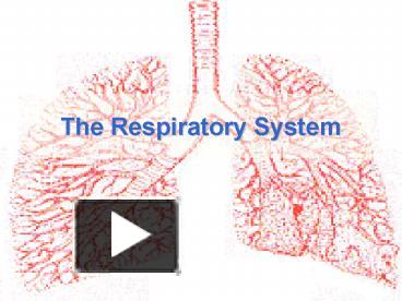 The Respiratory System presentation | free to download