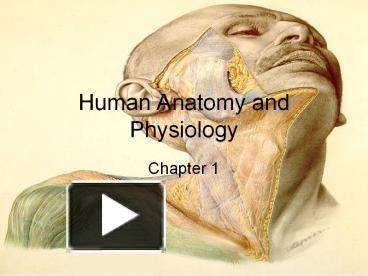 Human Anatomy and Physiology presentation | free to view