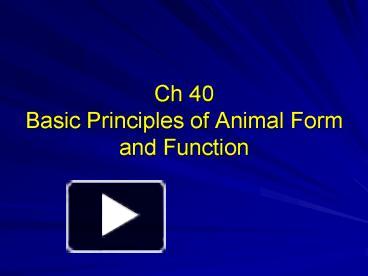 PPT – Ch 40 Basic Principles of Animal Form and Function PowerPoint ...